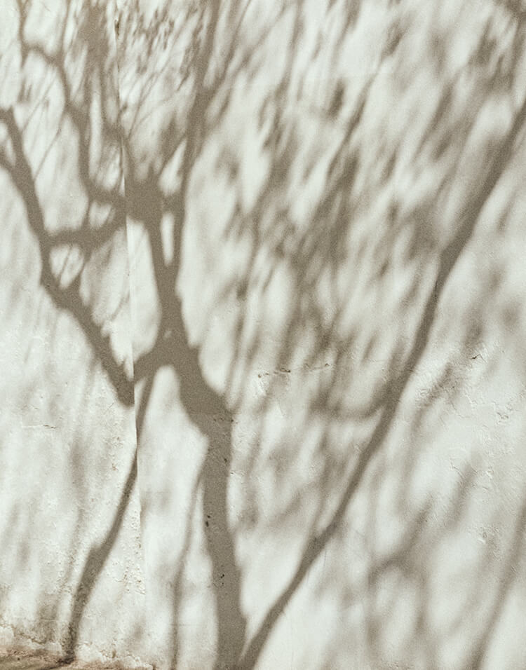 Glycerin StealthFit 21 Women's Running Shoe | Brooks Running